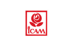 The History of Icam, from the beginnings to the present day | ICAM ...