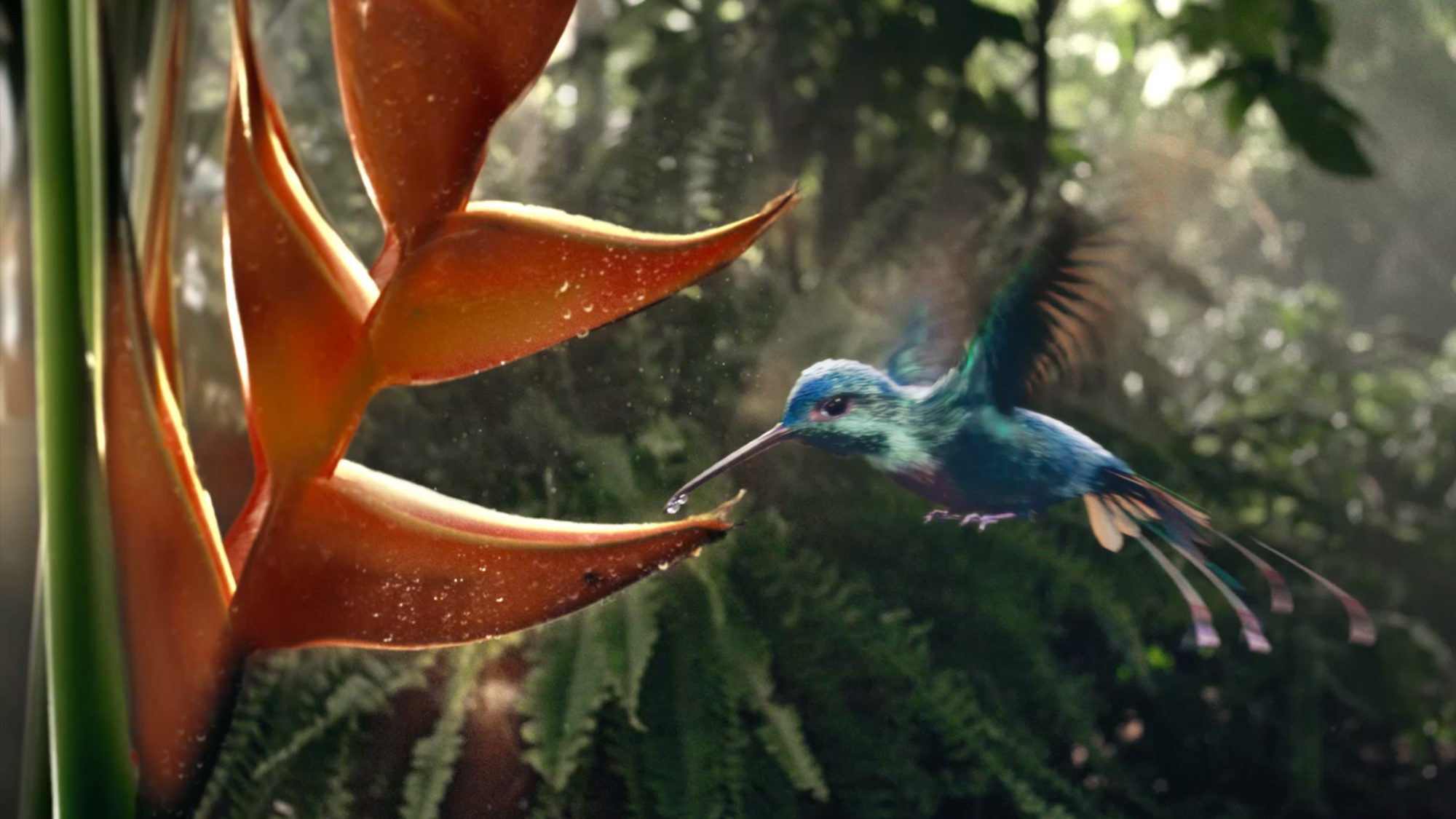 Vanini's new multi-channel campaign 'Chi va al cuore del cacao' - Icam ...