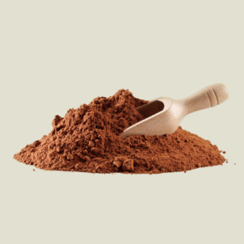 The value chain from Seed to Cocoa to Chocolate | ICAM Cioccolato